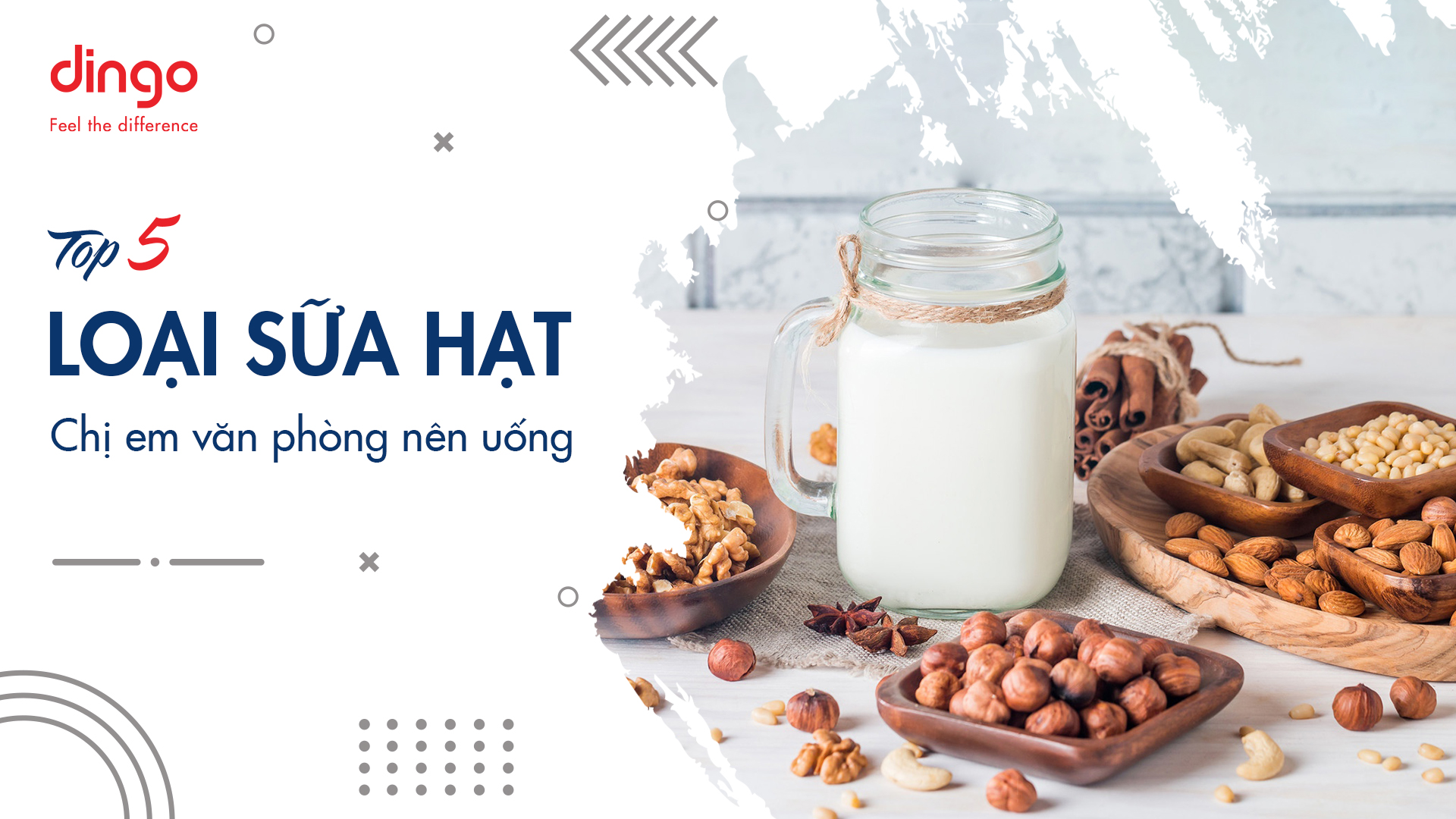 TOP 5 loại sữa hạt mà chị em văn phòng nên uống - Dingo