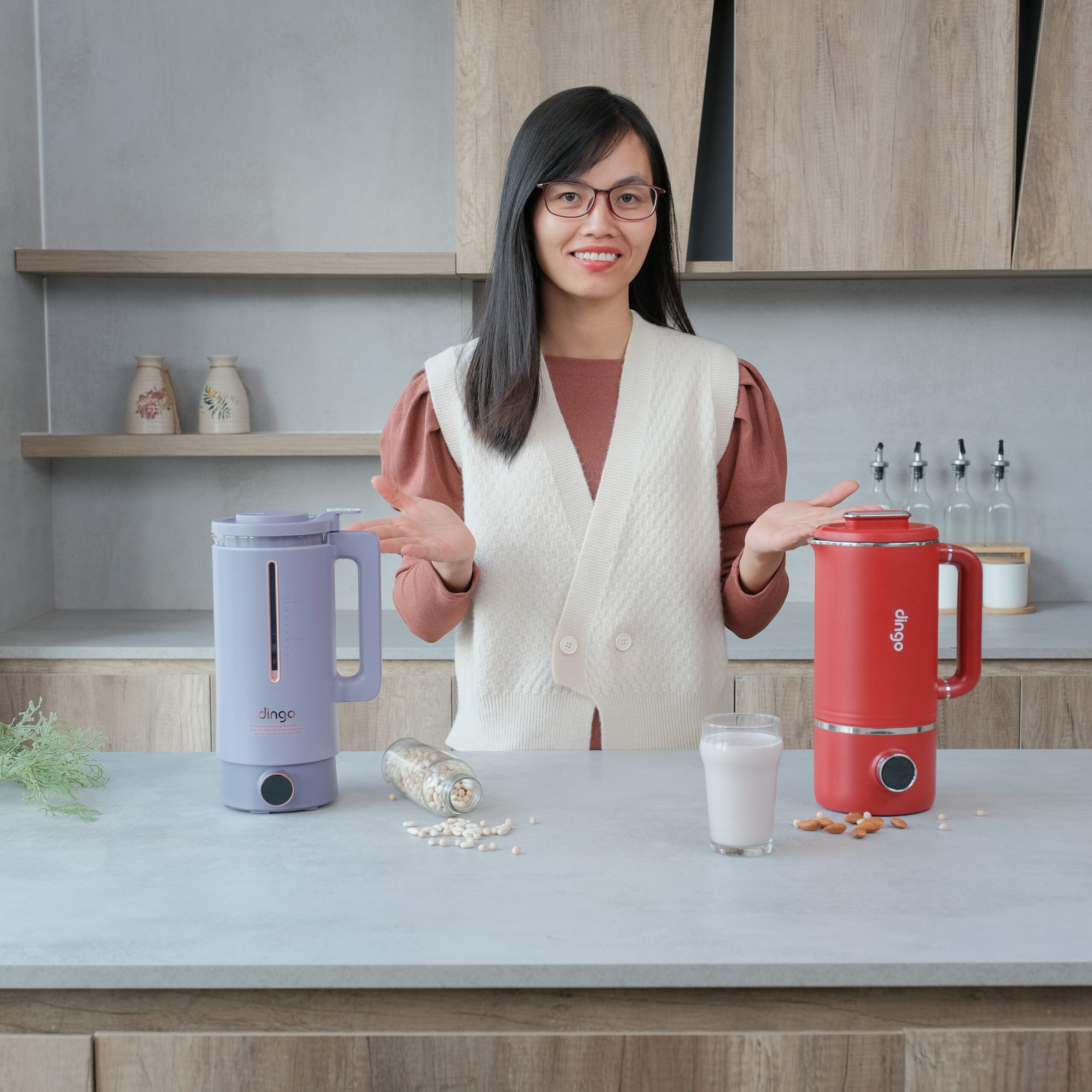 Máy xay nấu đa năng mini DINGO DCB600 có thật sự tốt không?